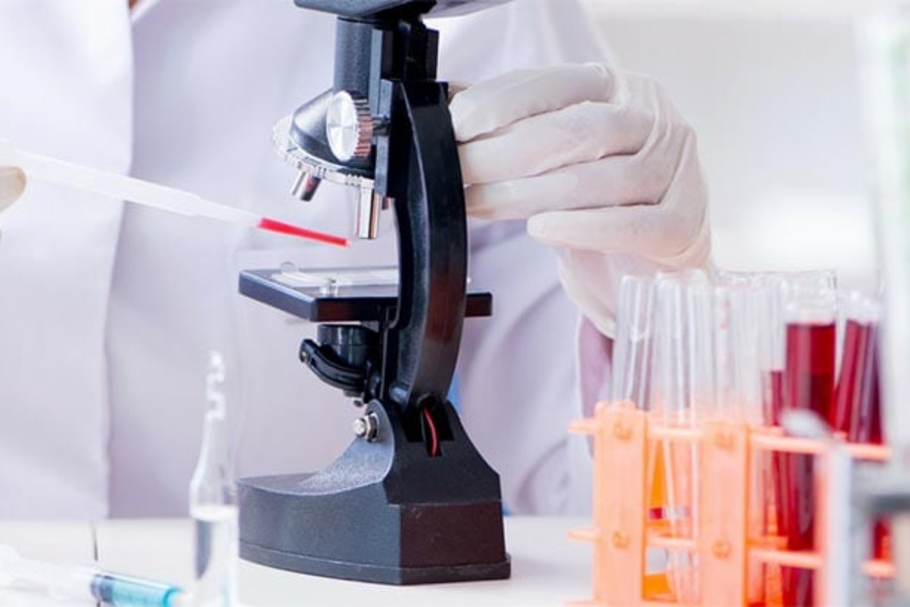 Body Transformation Packages - Max Curle Fitness